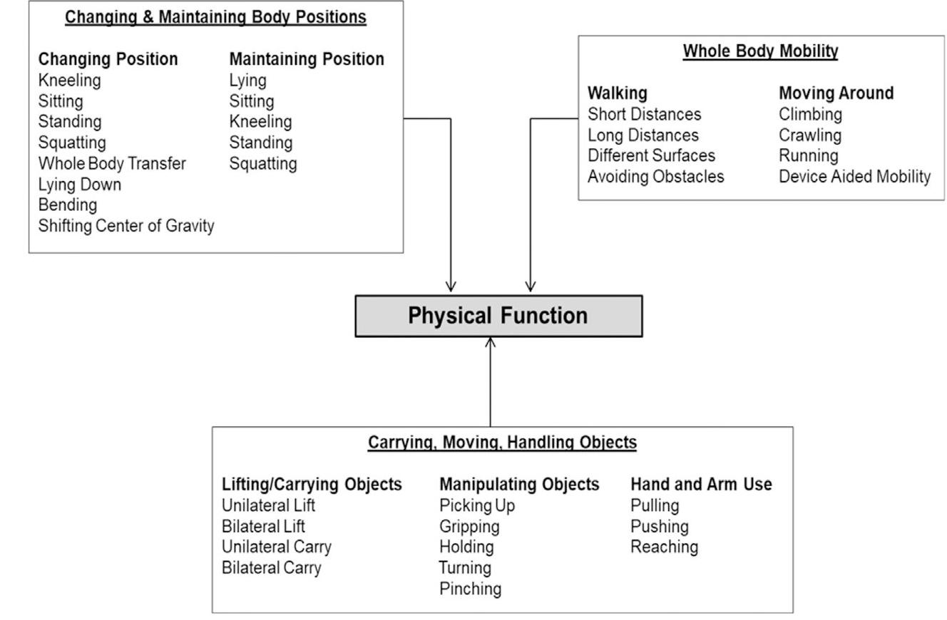 Figure 1 - The Work Disability Functional Assessment Battery