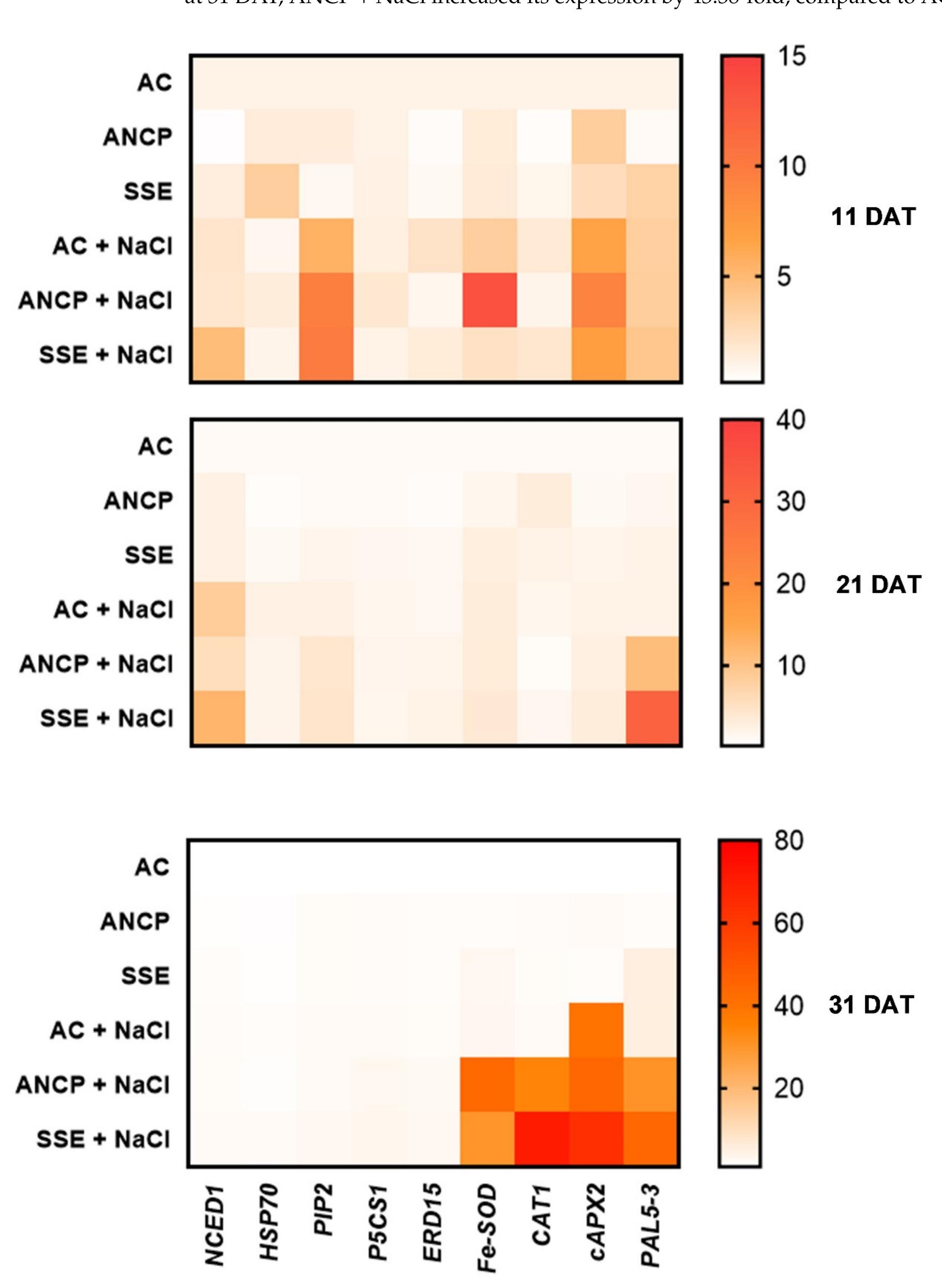 Heatmap of the relative expression of defense genes in