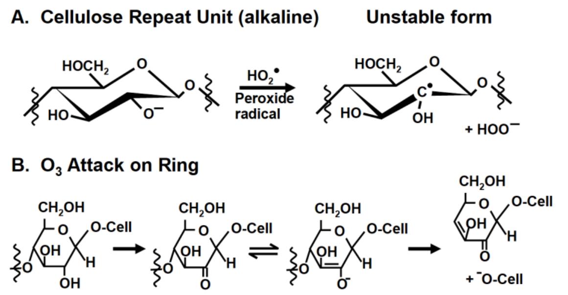 Mechanisms by which oxidative bleaching may cleave