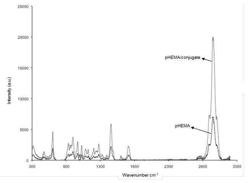 Raman spectra of phema and phema with 1% of the light