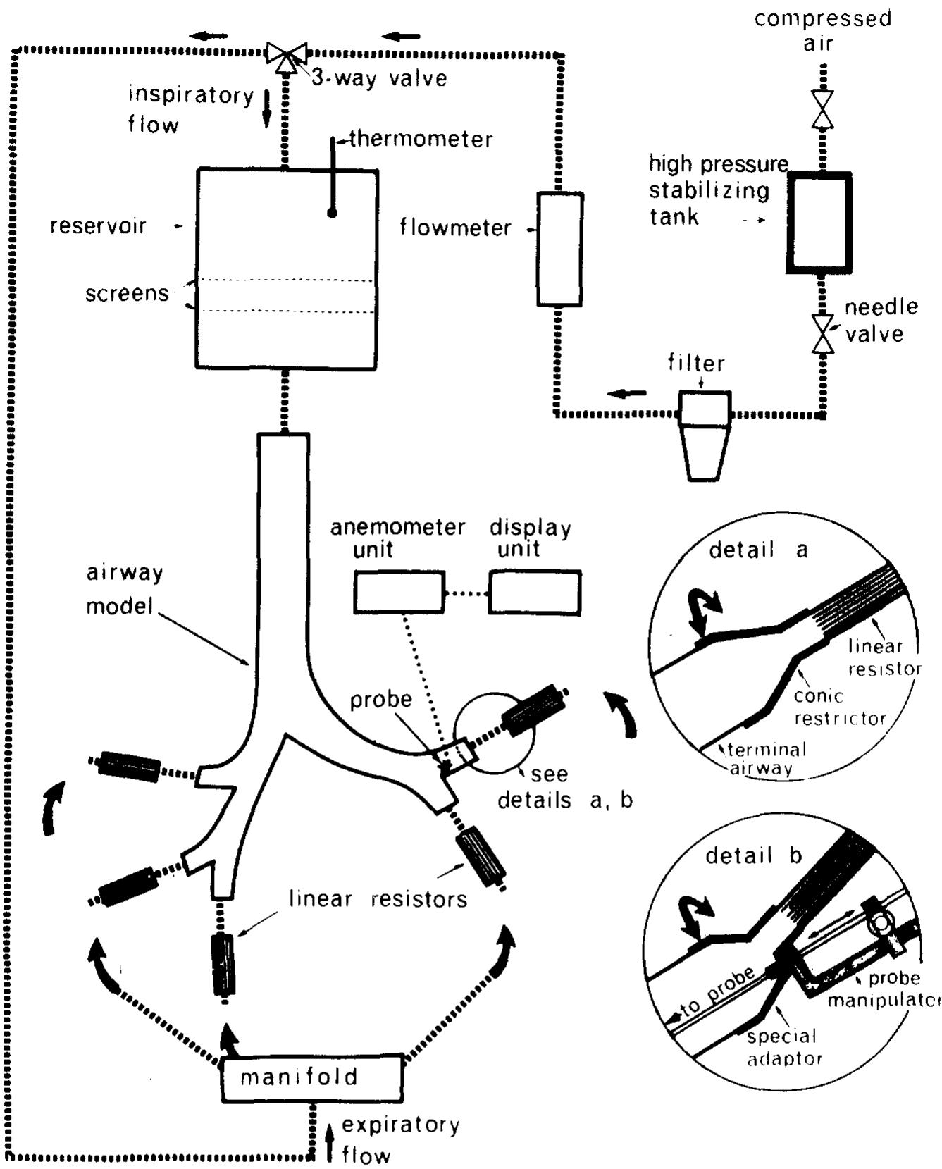A schematic of the flow system and details of distal units