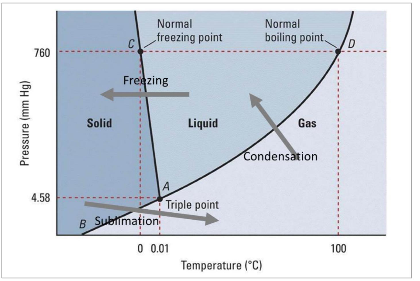 Phase diagram of water showing some phase transition