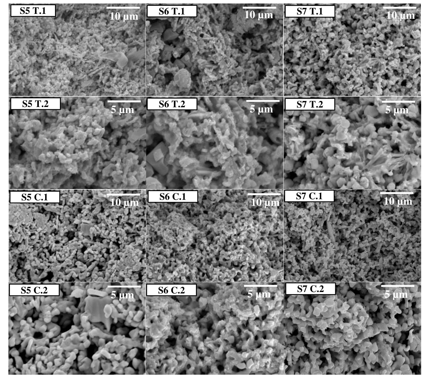 Sem micrographs. t: nam after initial charge acceptance test