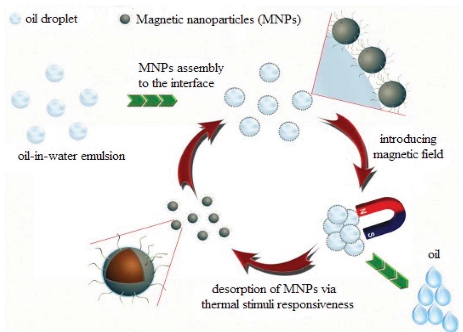 Demulsification mechanism of oil/water emulsions by using