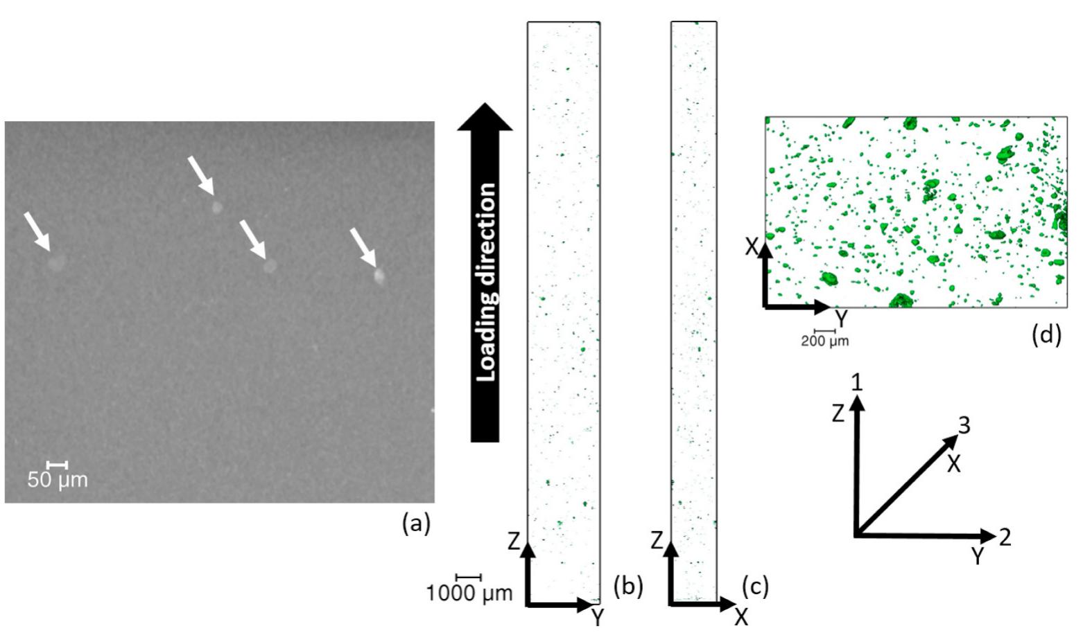Undeformed silica-filled sbr microstructure obtained by