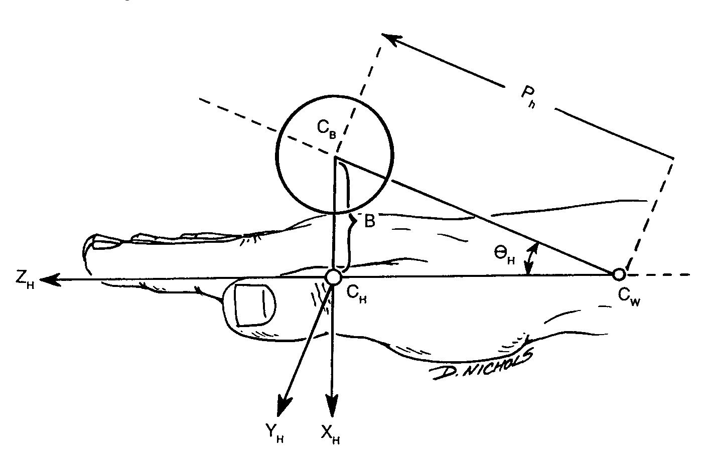 Diagram For Determination Of Third Metacarpal Head Joint