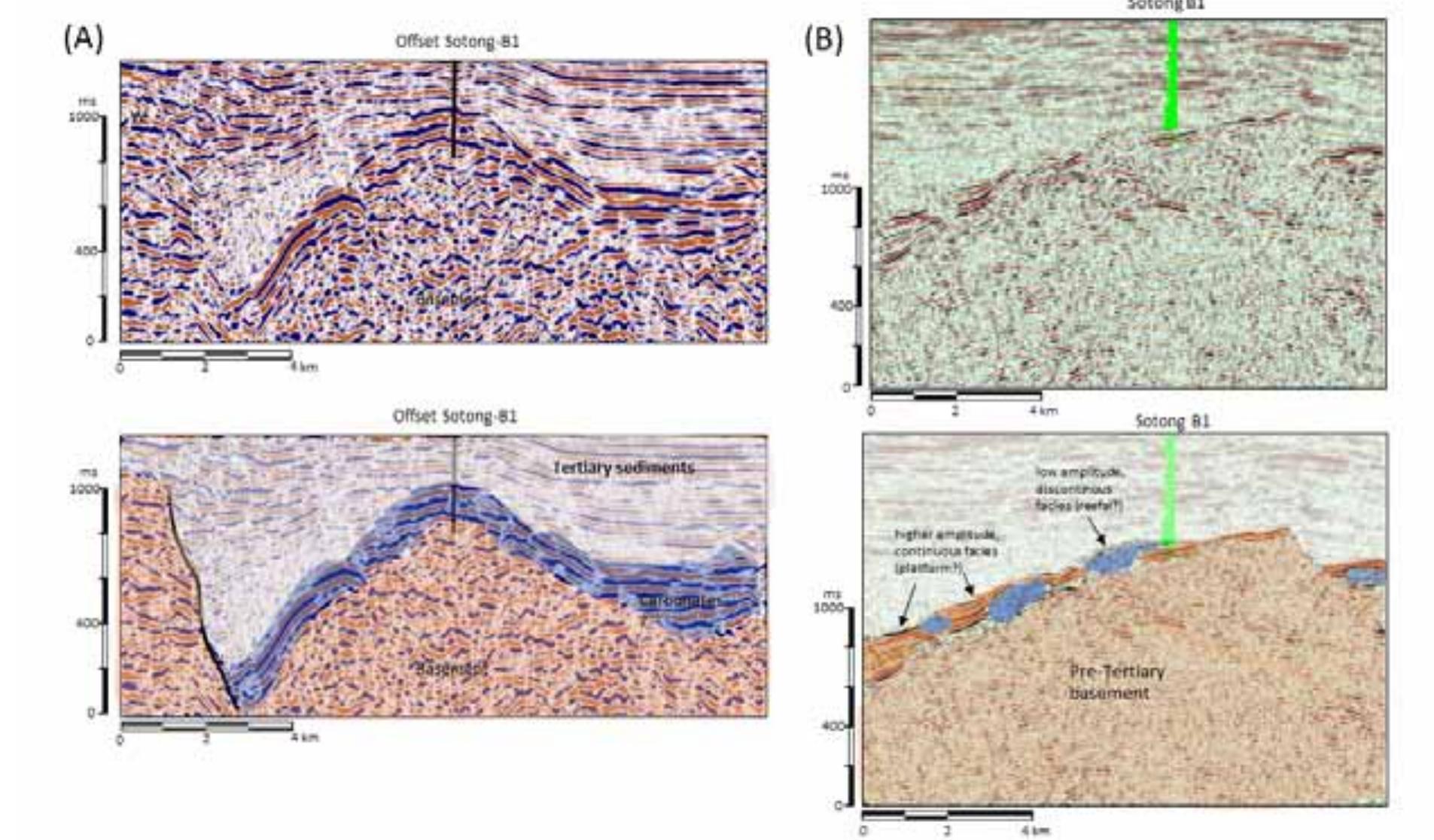 Examples of seismic facies analysis to identify carbonate