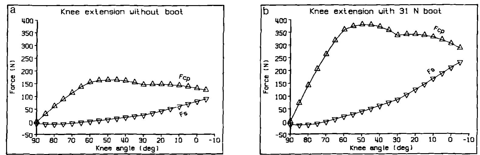 The magnitudes of the patello-femoral compressive force