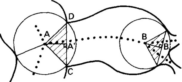 Axis length and elongation of in- terior segment can be
