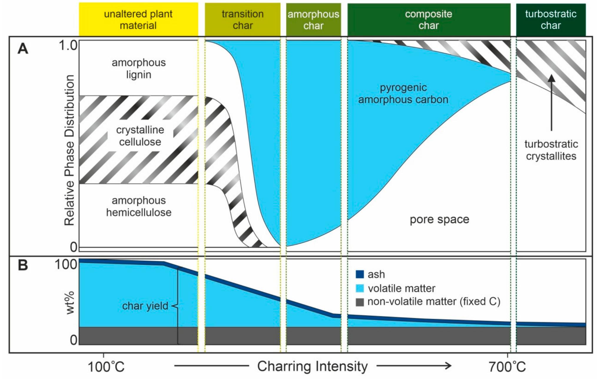 Molecular structure of biochar from plant biomass across a