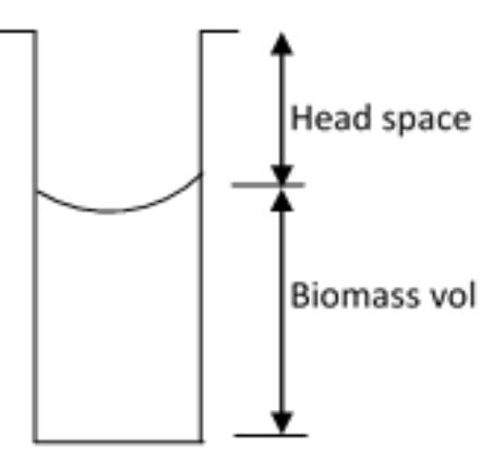 Schematic diagram, showing the volume of the reactor volume