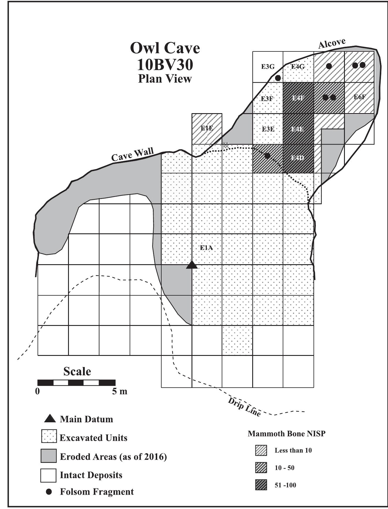 Plan view map of the owl cave excavation block. density of