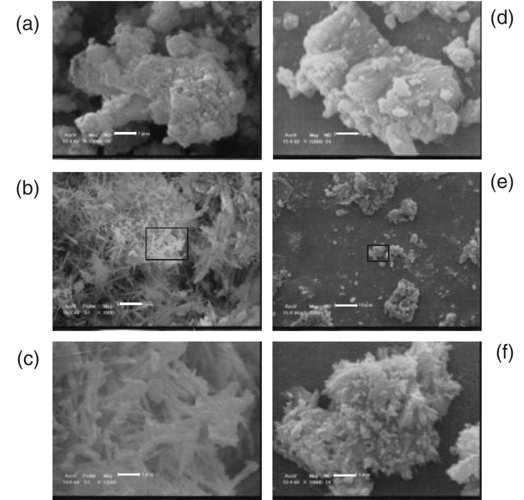 Sem images of iron granules (a) before and (b, c) after