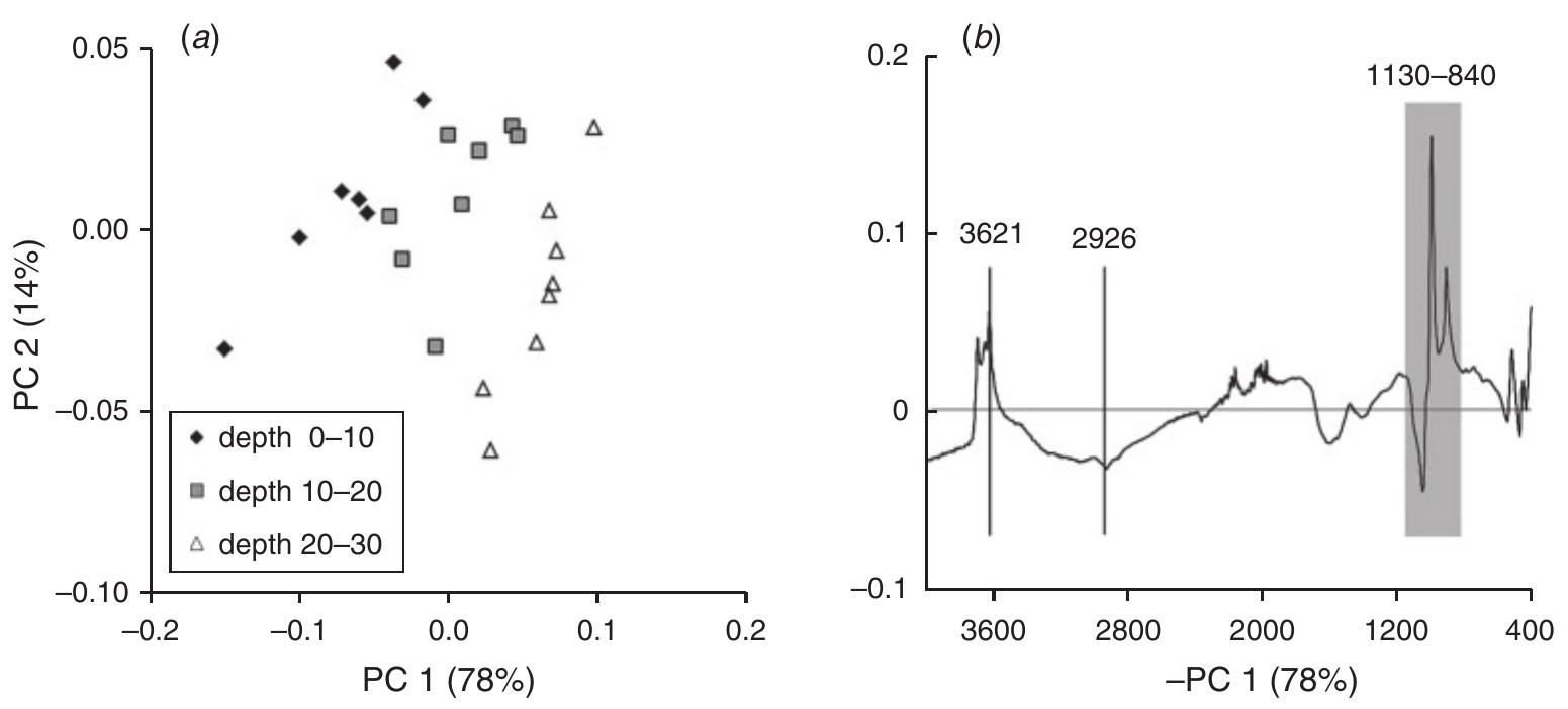 Results of pca based on ftir spectra for soil samples of