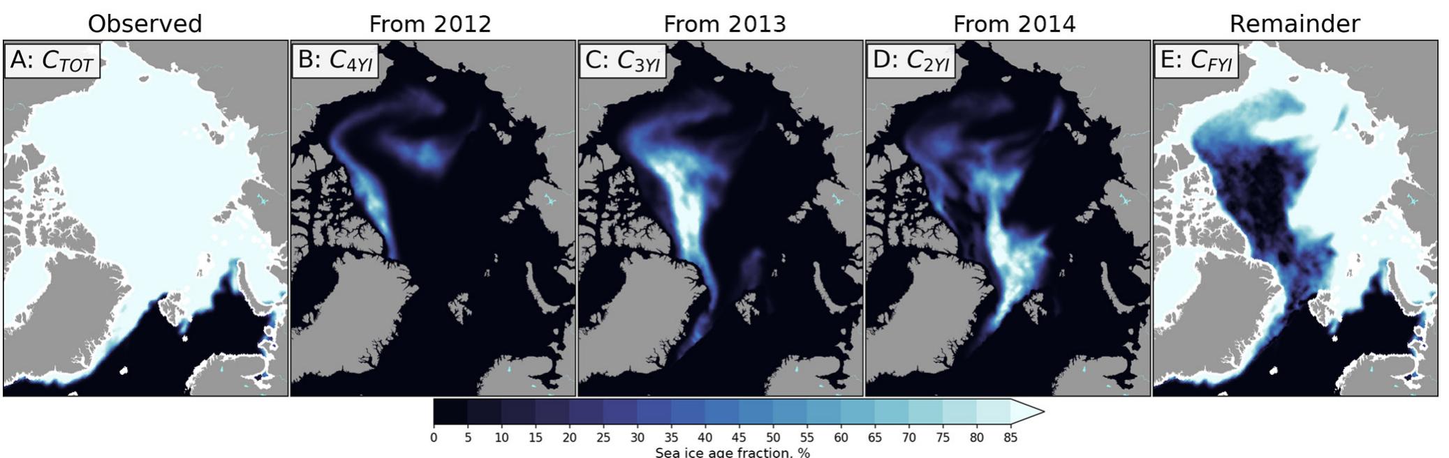 Maps of sea ice age fractions on 1 march 2015. (a) observed