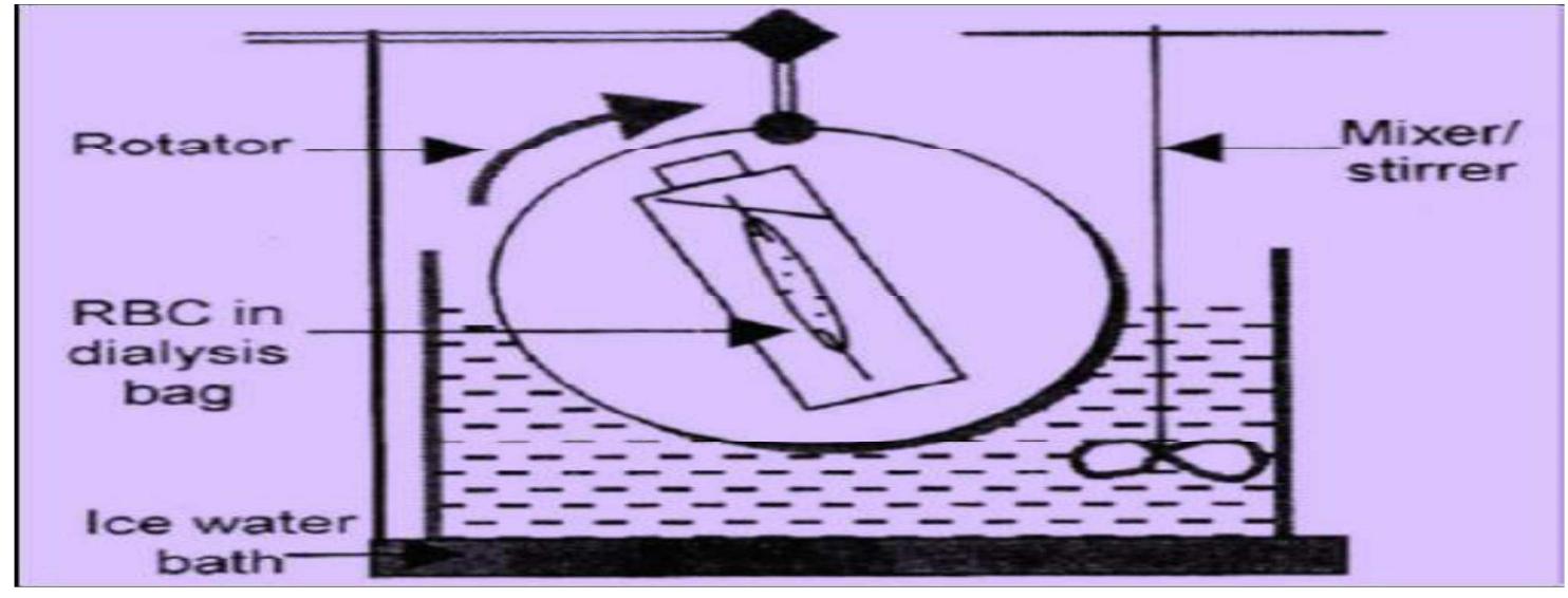 3: hypotonic dialysis technique permeable dialysis membrane