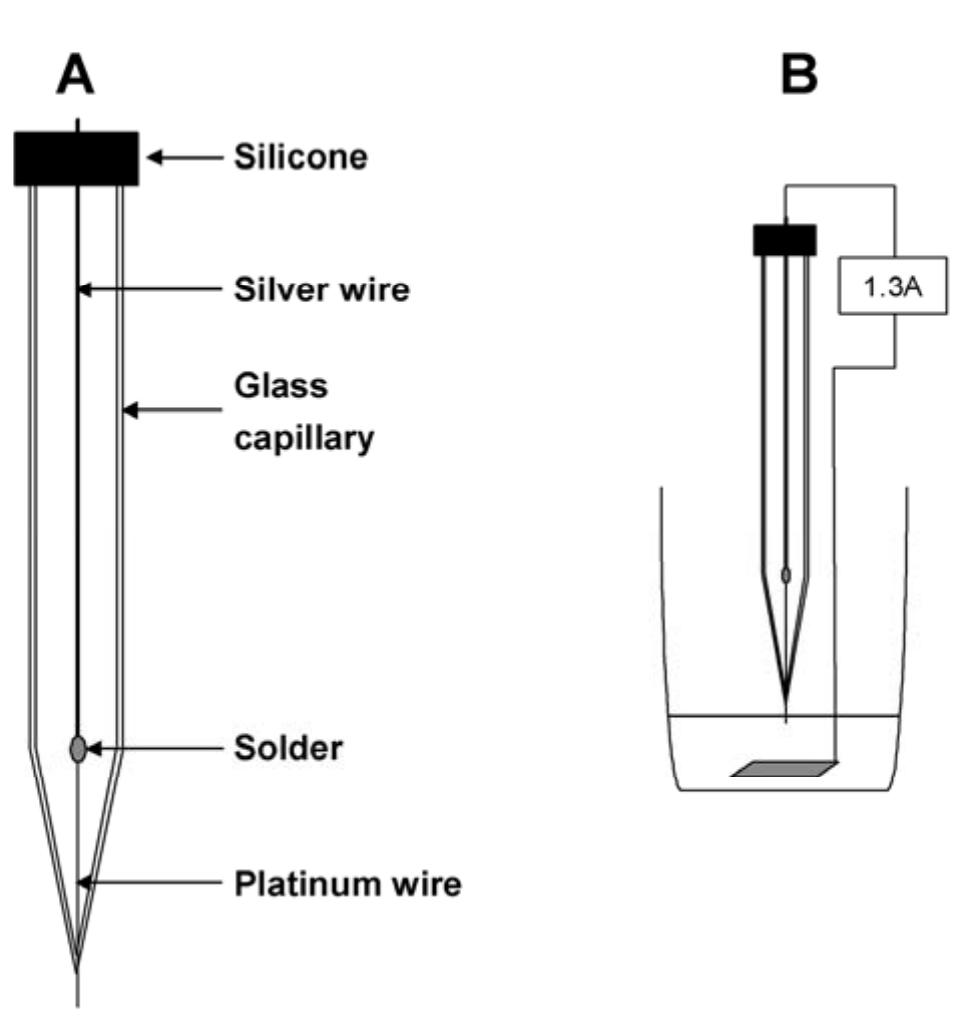 5.1. oxygen selective microeletrode fig. 6 schematic
