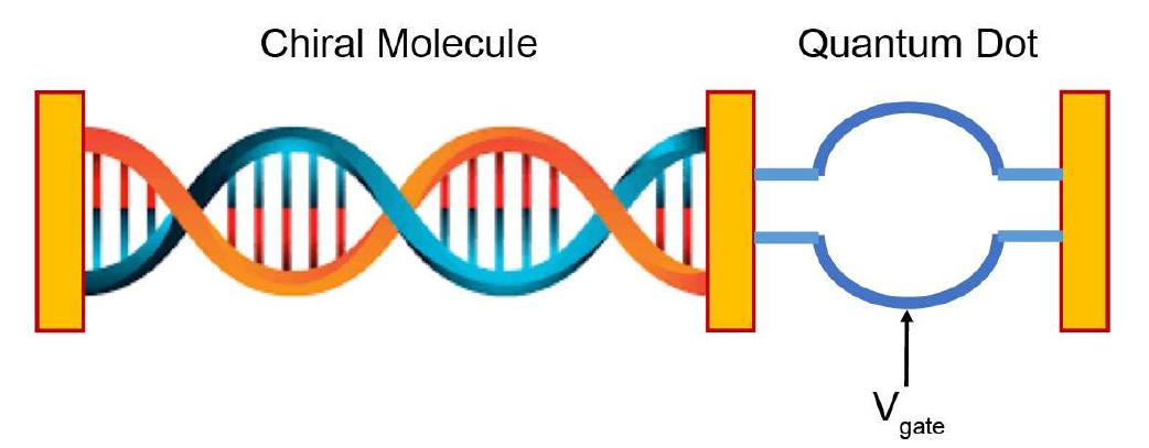 A schematic illustration of a ‘super chiral molecule’ — a