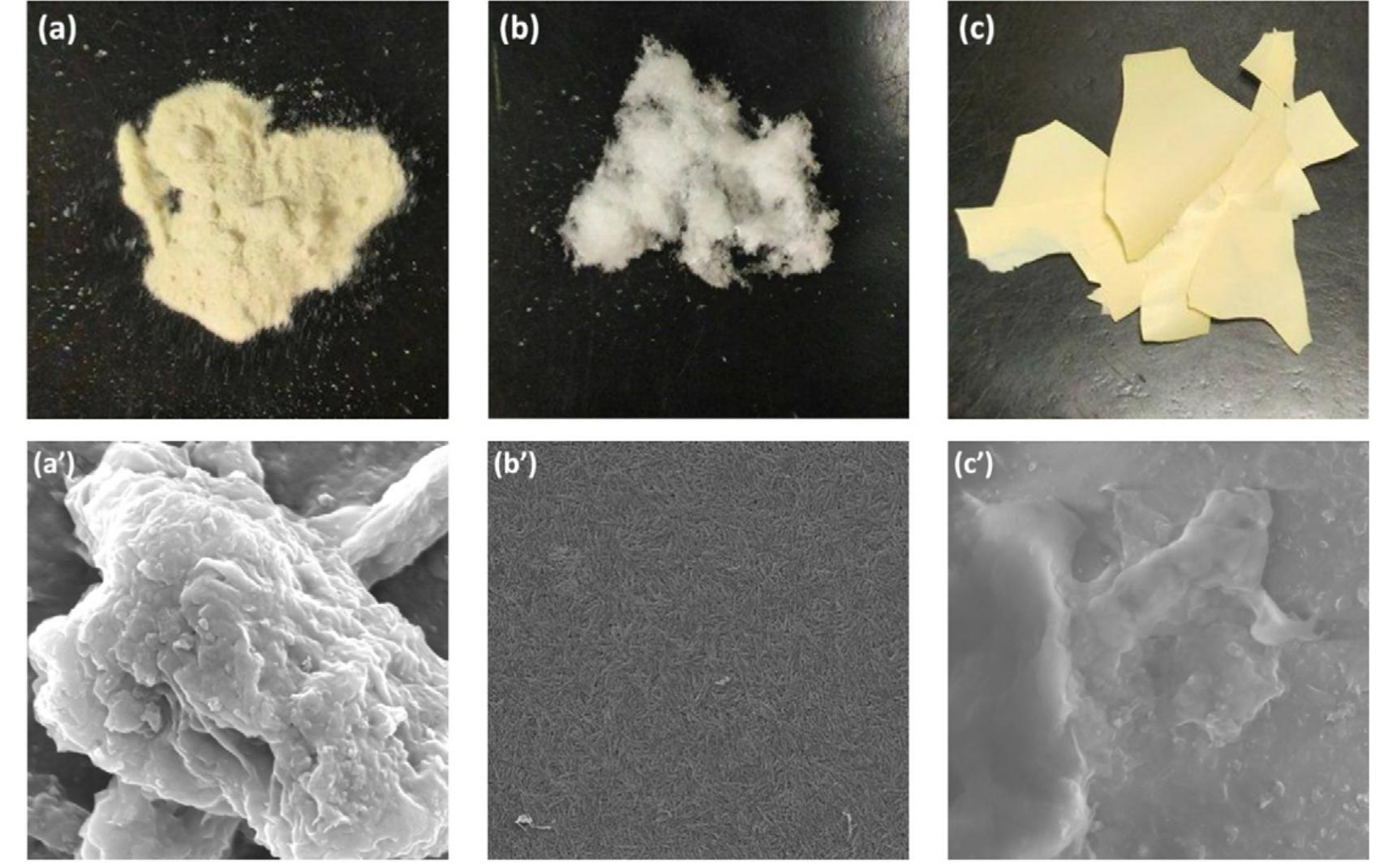 Solid phase of (a) mmt, (b) ncc and (c) ncmmt. fe-sem of