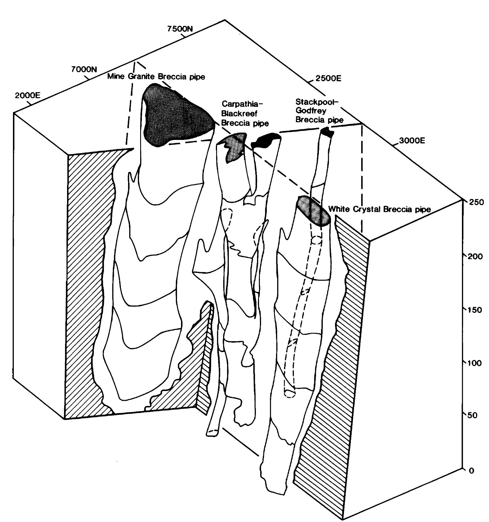 Fic. 9. block diagram of the breccia pipes in the ardlethan