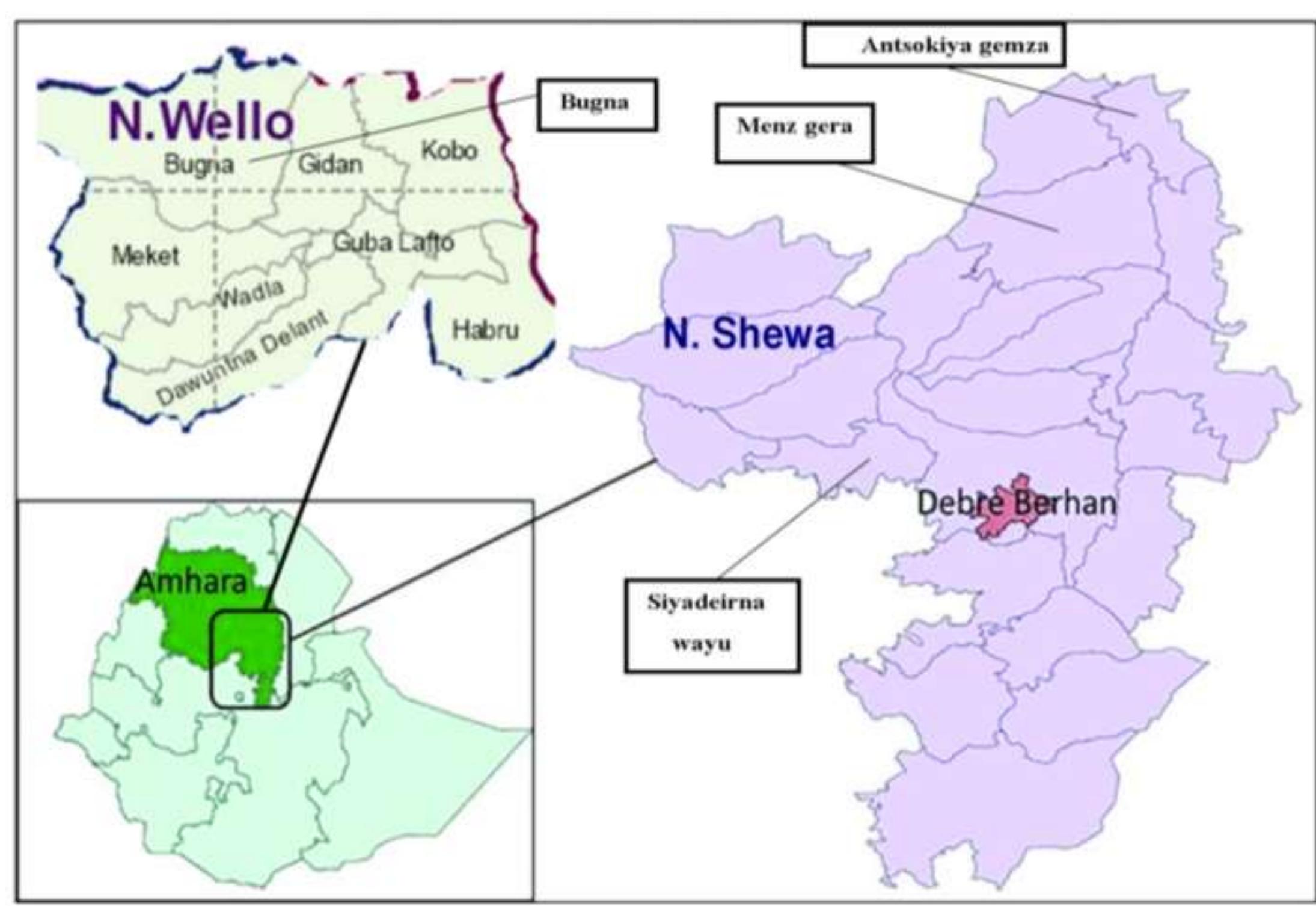 Map of the study area. geographical location of menz gera,