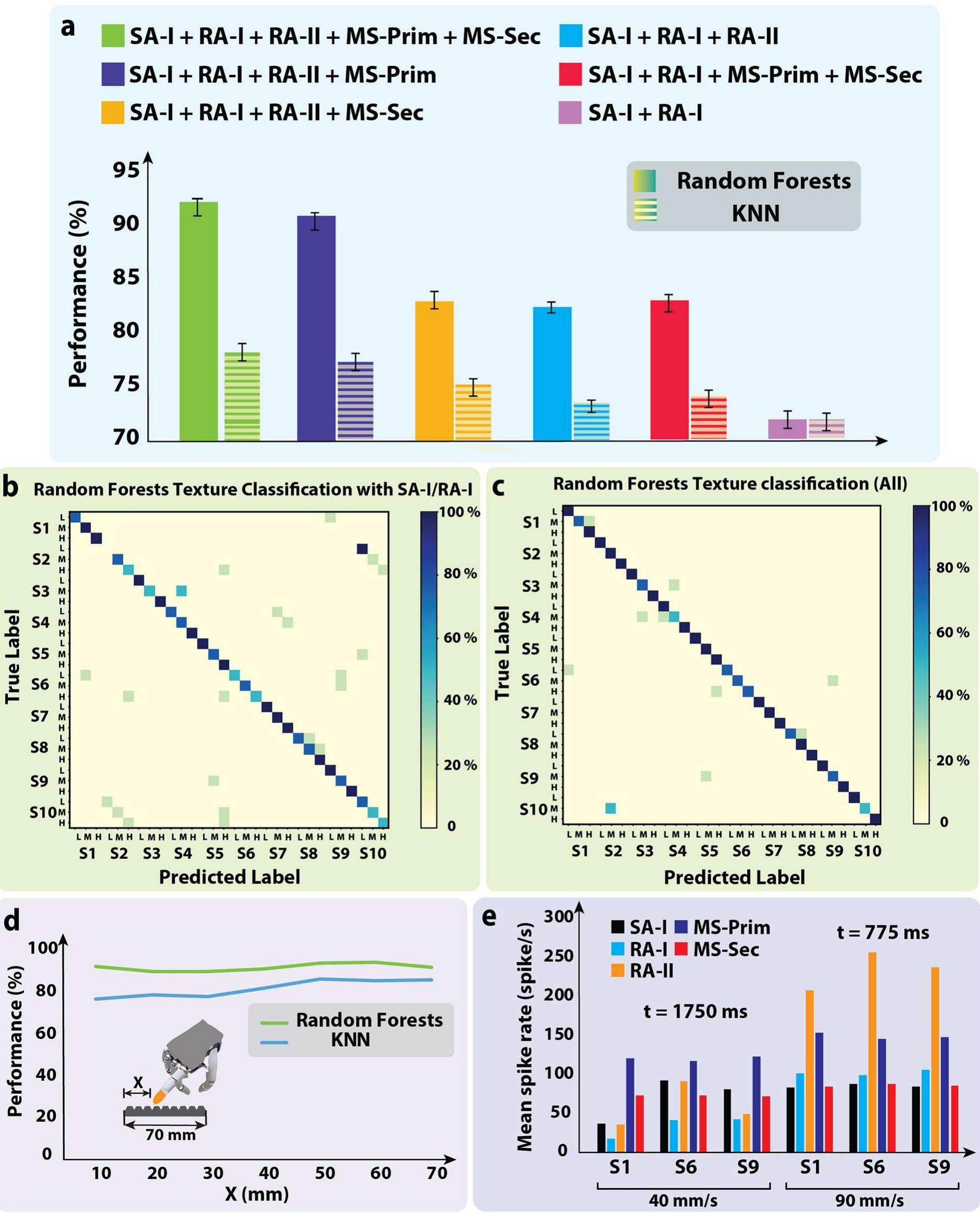 Contribution of the skin mechanoreceptors and muscle