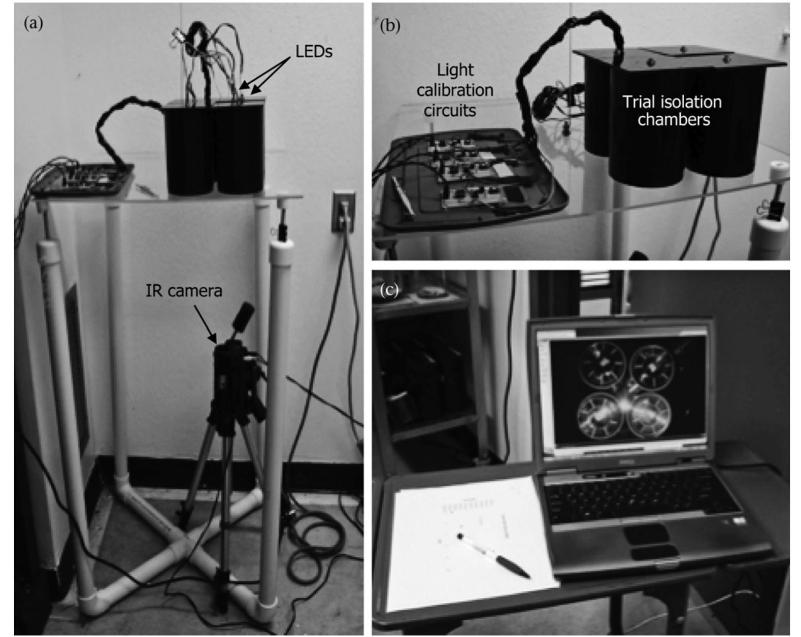 Behavioural apparatus used to test scorpions’ responses to