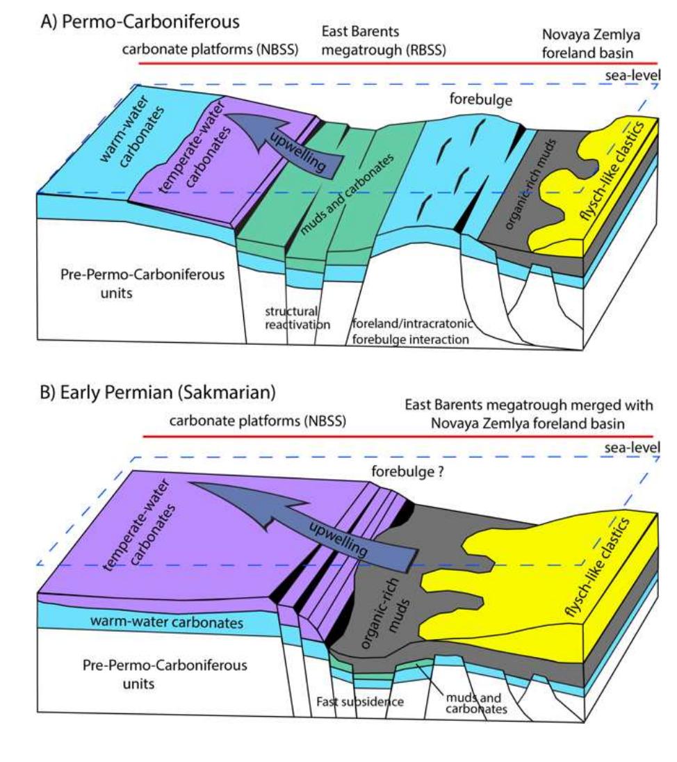 By early permian (sakmarian) time (fig. 5b), basin-bulge