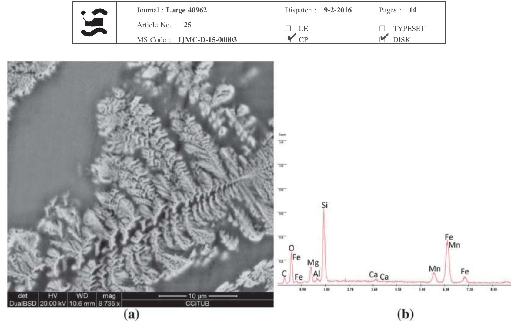 Sem micrograph showing the crystalline growth of a compound