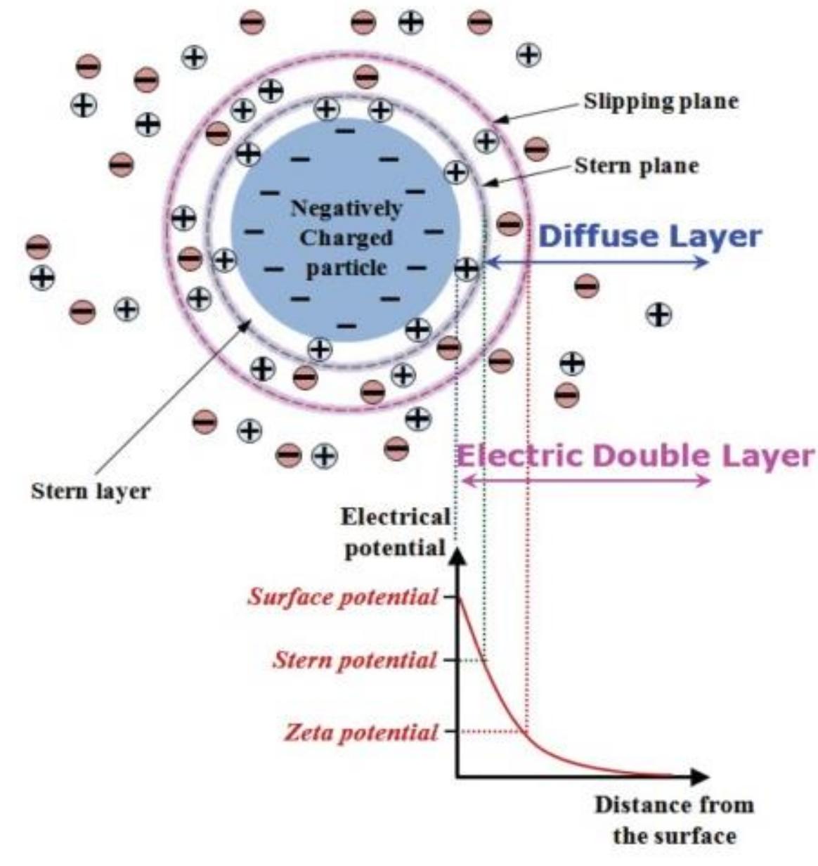 Coagulation is the process of particle aggregation in a
