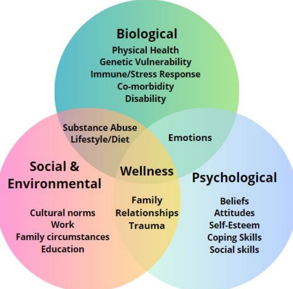 Diagram 1: the biopsychosocial model of wellness the model