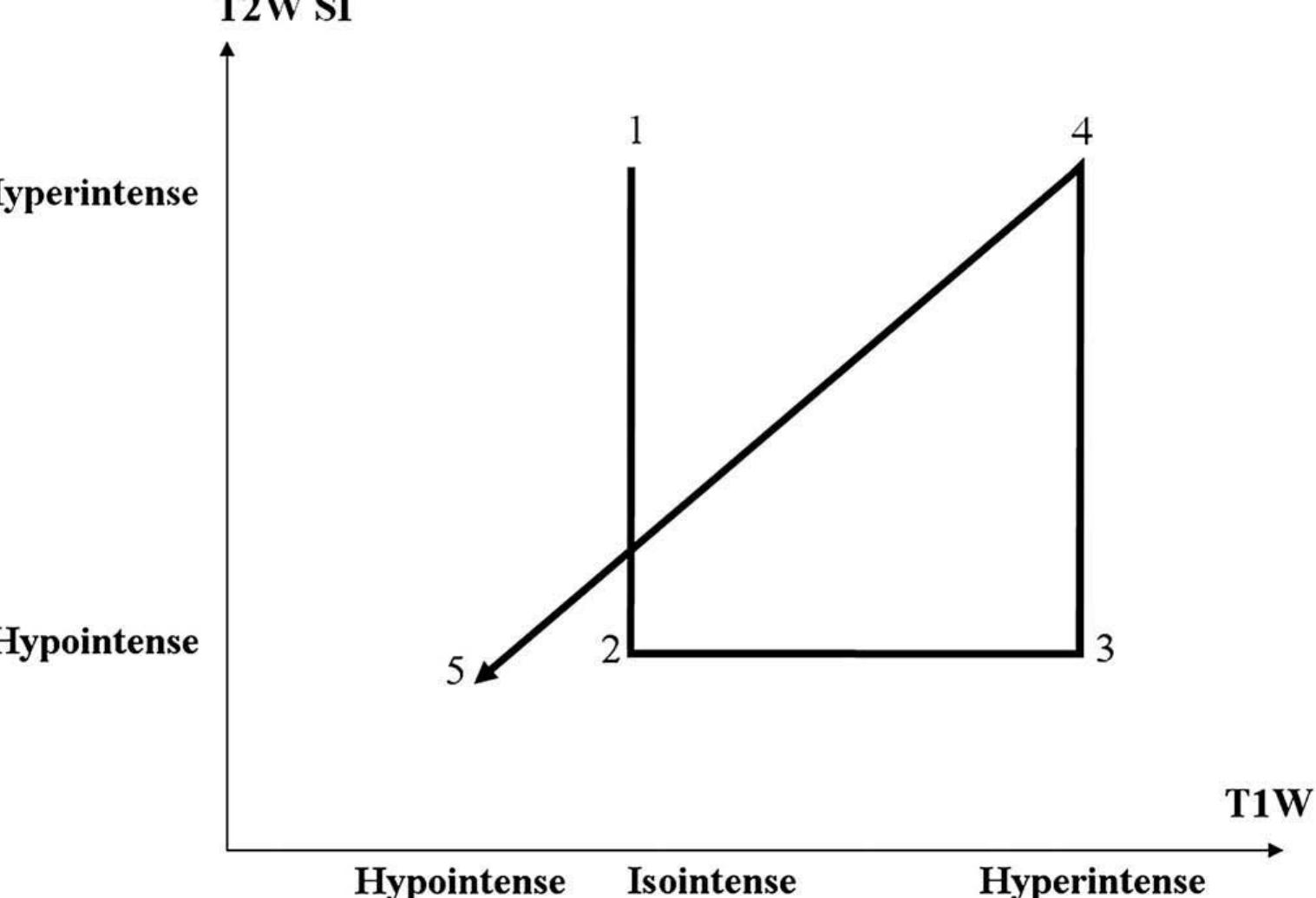 Mnemonic graph describing the progression of mri signal