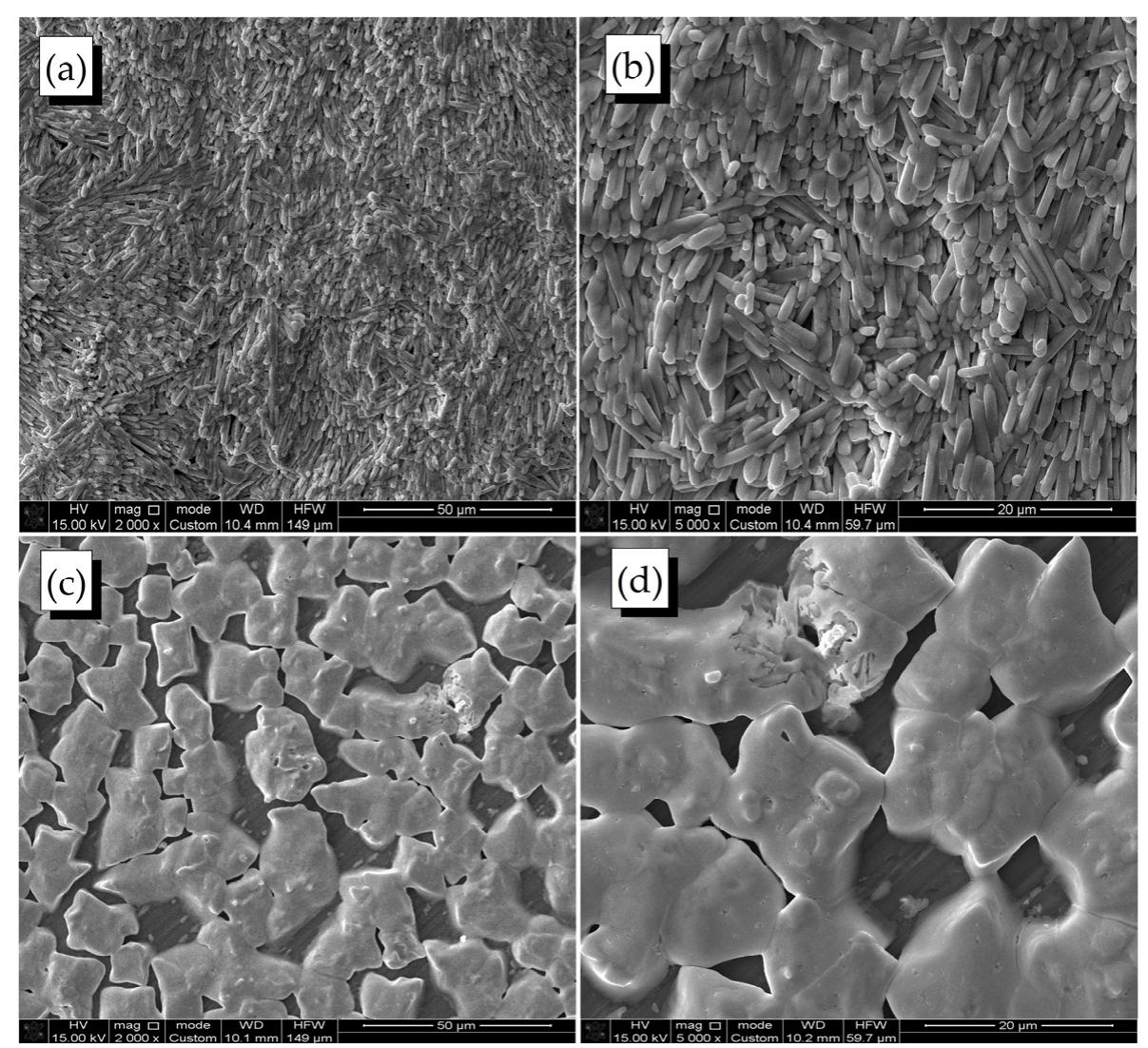 Scanning electron microscope images of the perovskite films
