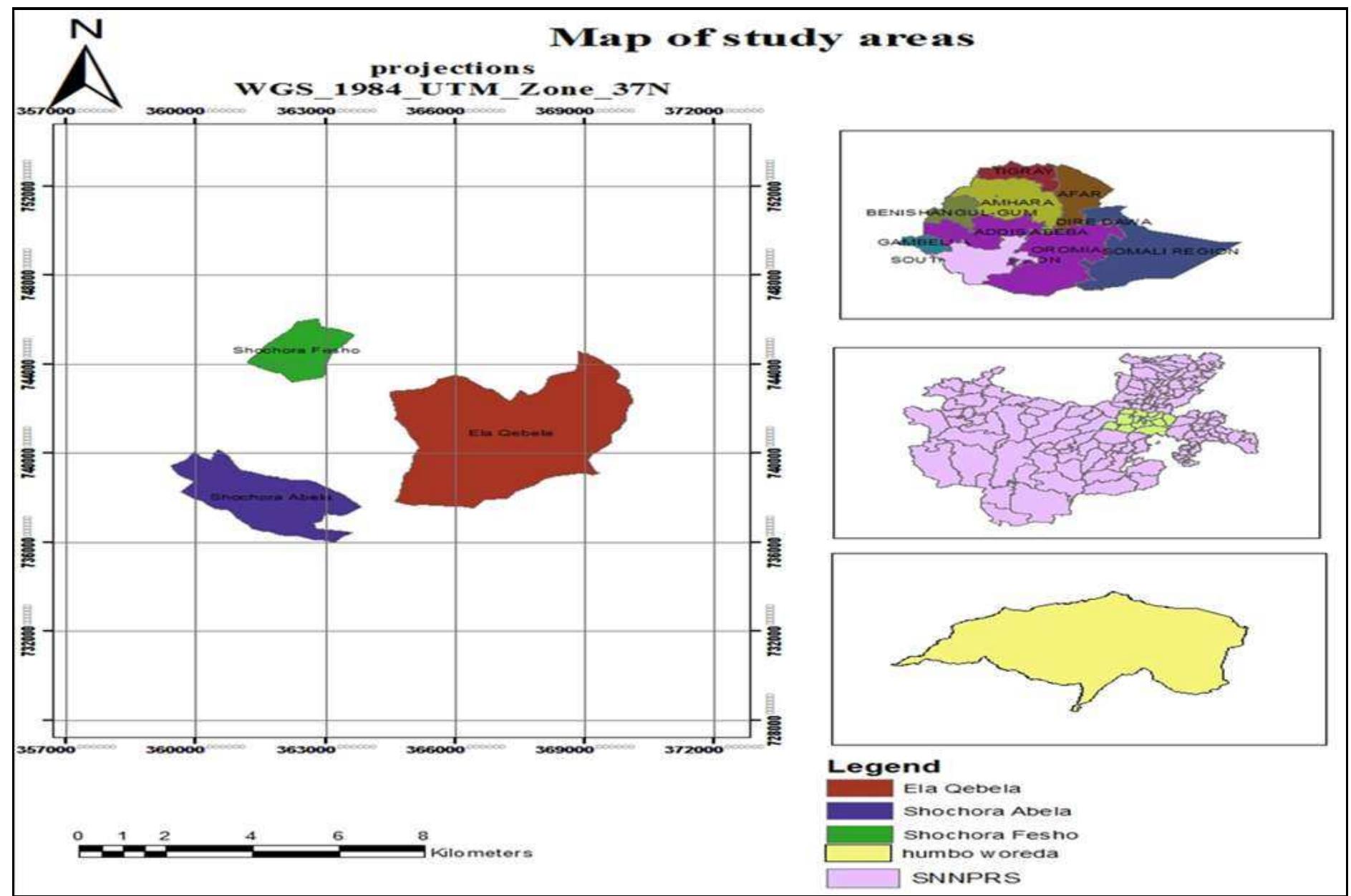 Figure 2 - from Adoption of improved haricot bean production