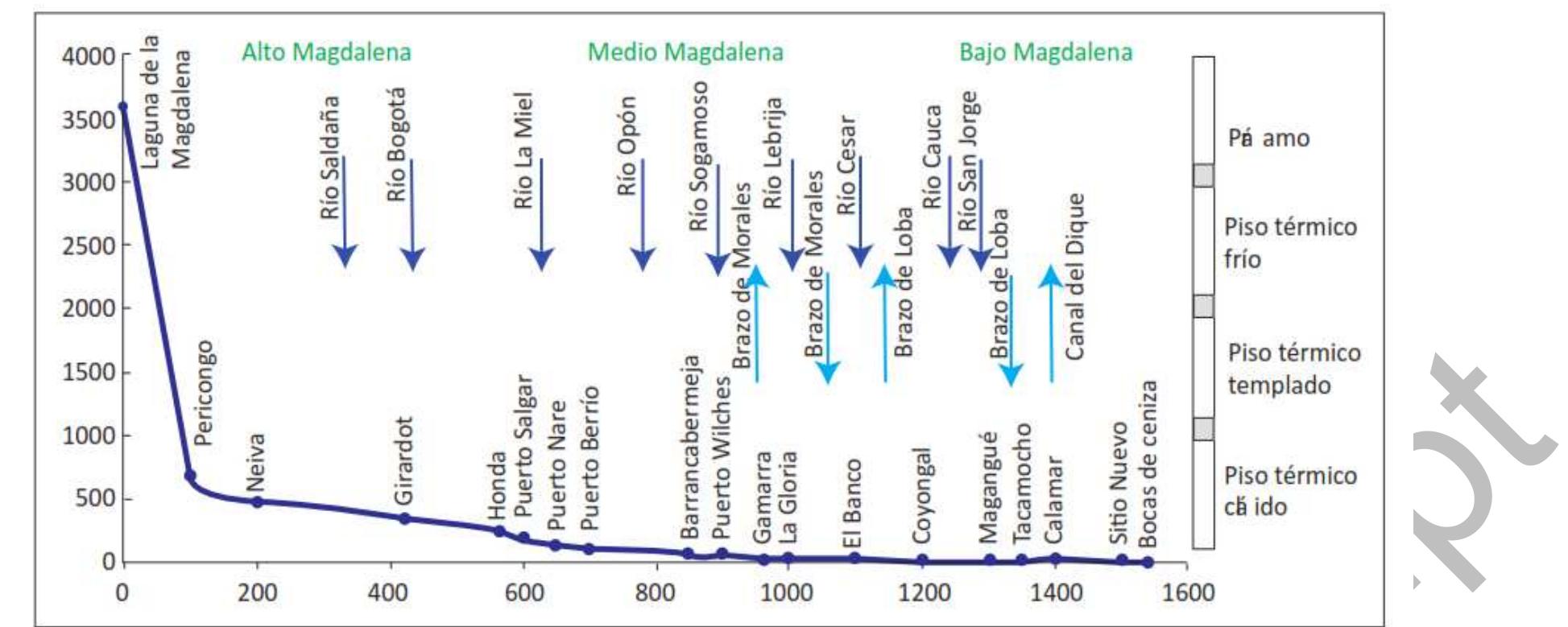 Schematic cut of magdalena river. x-axis: altitude (meters