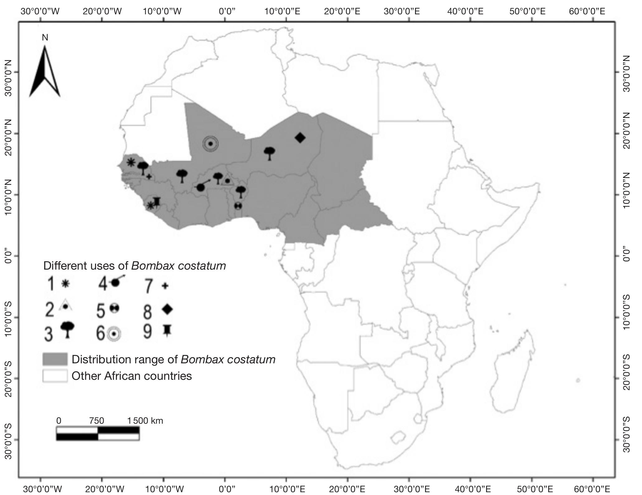 Patterns of nine common uses of bombax costatum in west