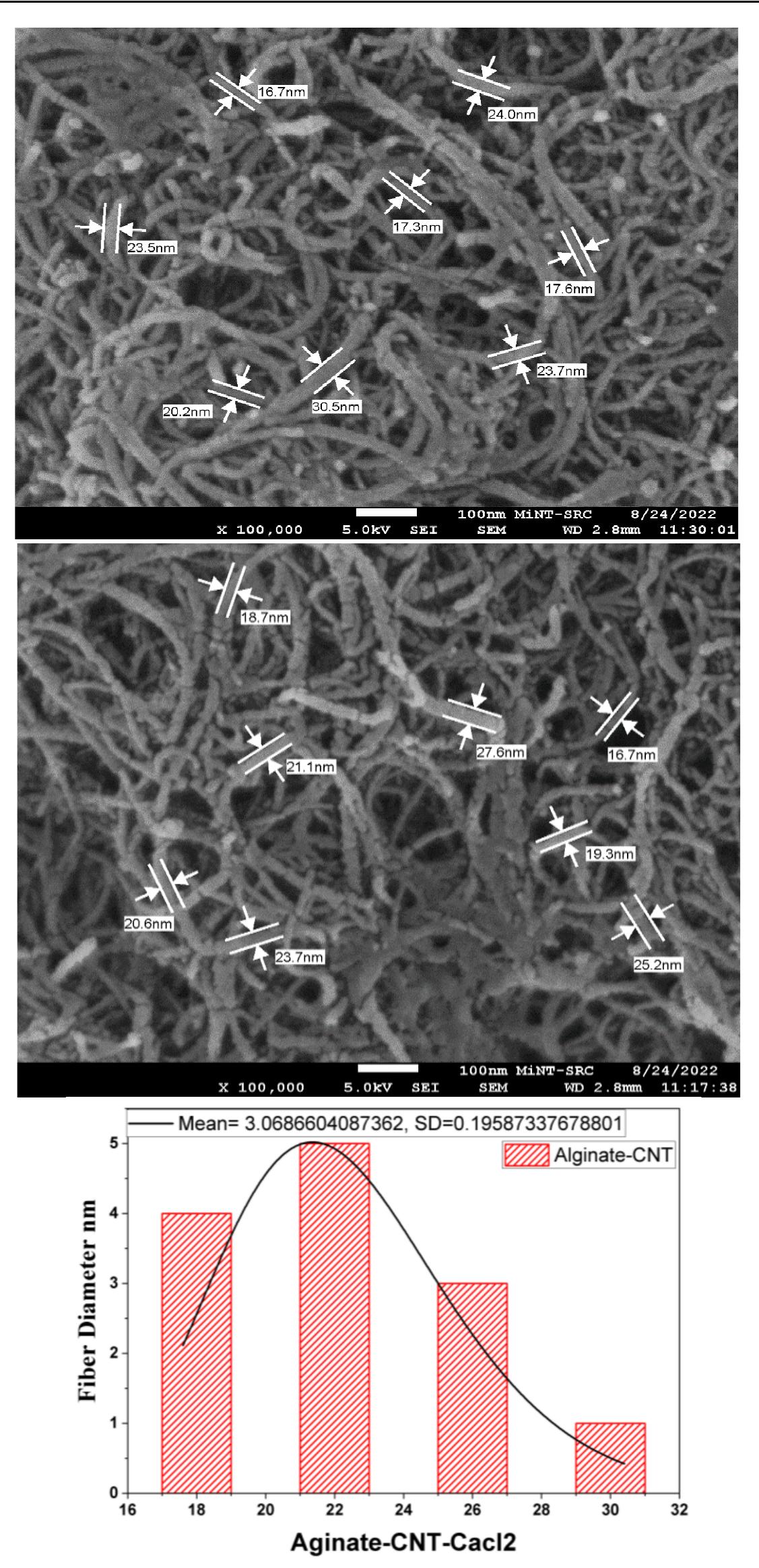 Fe-sem images for determining the diameter and standard