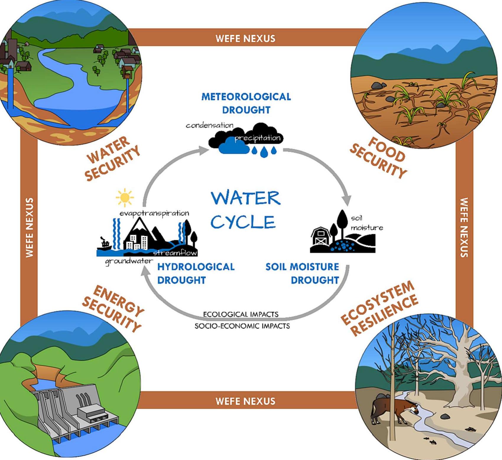 Conceptual outline of drought development and propagation