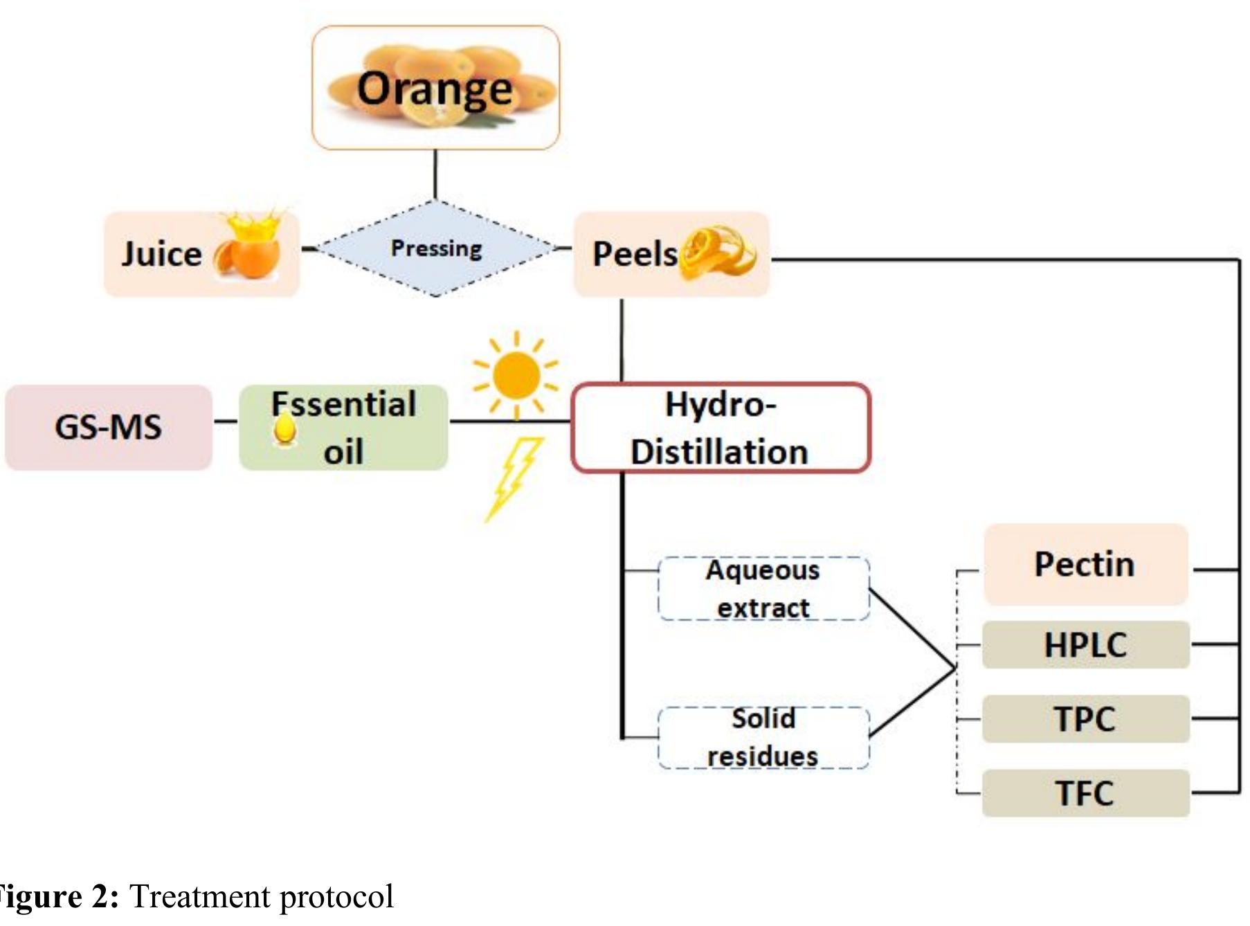 Gas chromatography-mass spectrometry (gc-ms/gc-fid analyses