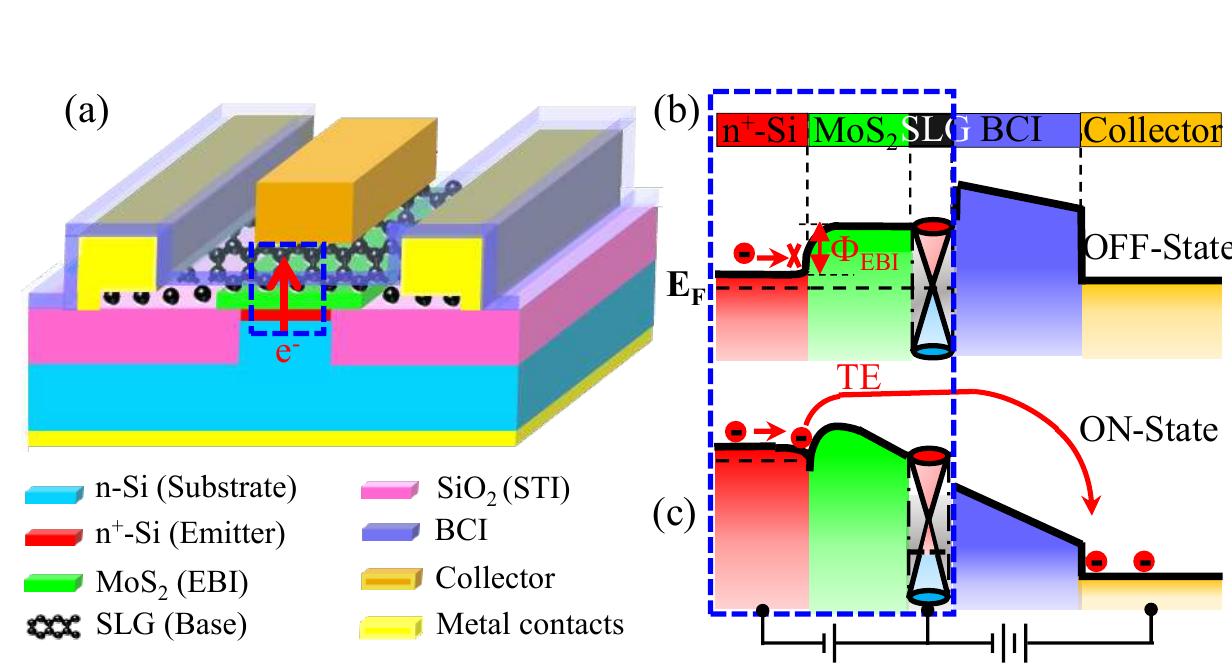 1: : (a) a schematic diagram showing the structure of a gbt