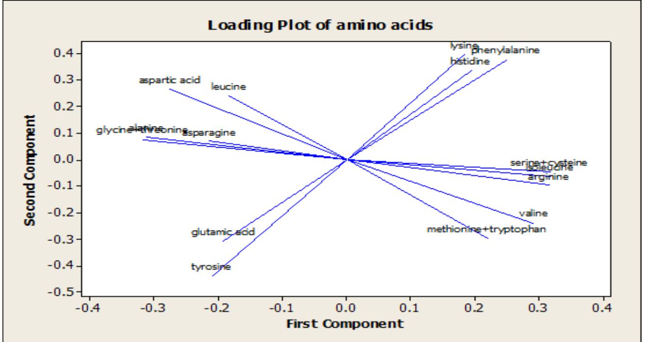 The loading plot of pca model describing the contribution of