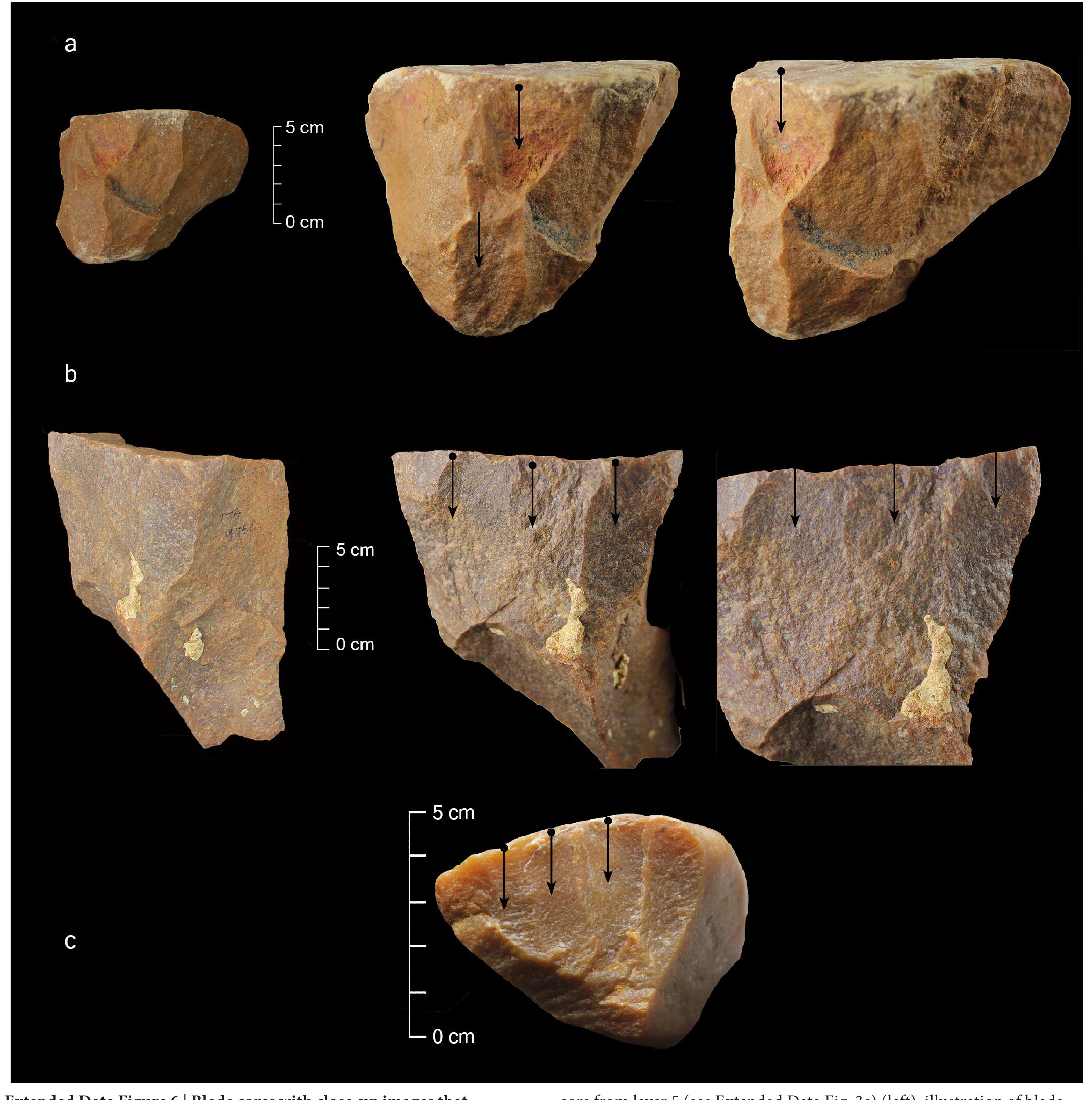 Figure 12 - Early Middle Palaeolithic culture in India