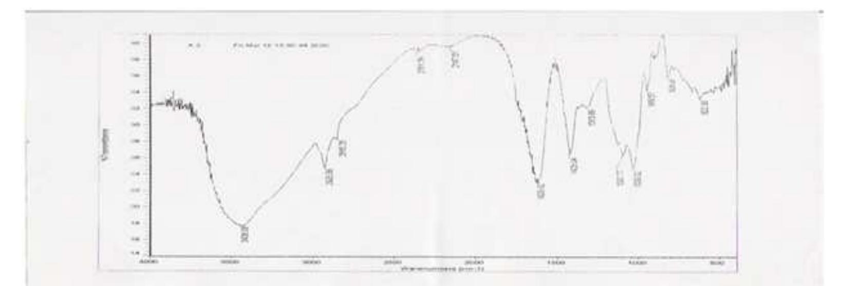 - ftir spectrum of sodium alginate figure 3- ftir spectrum
