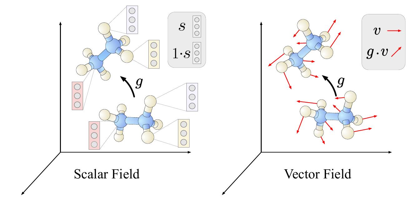 Scalar and vector fields as simple examples of feature