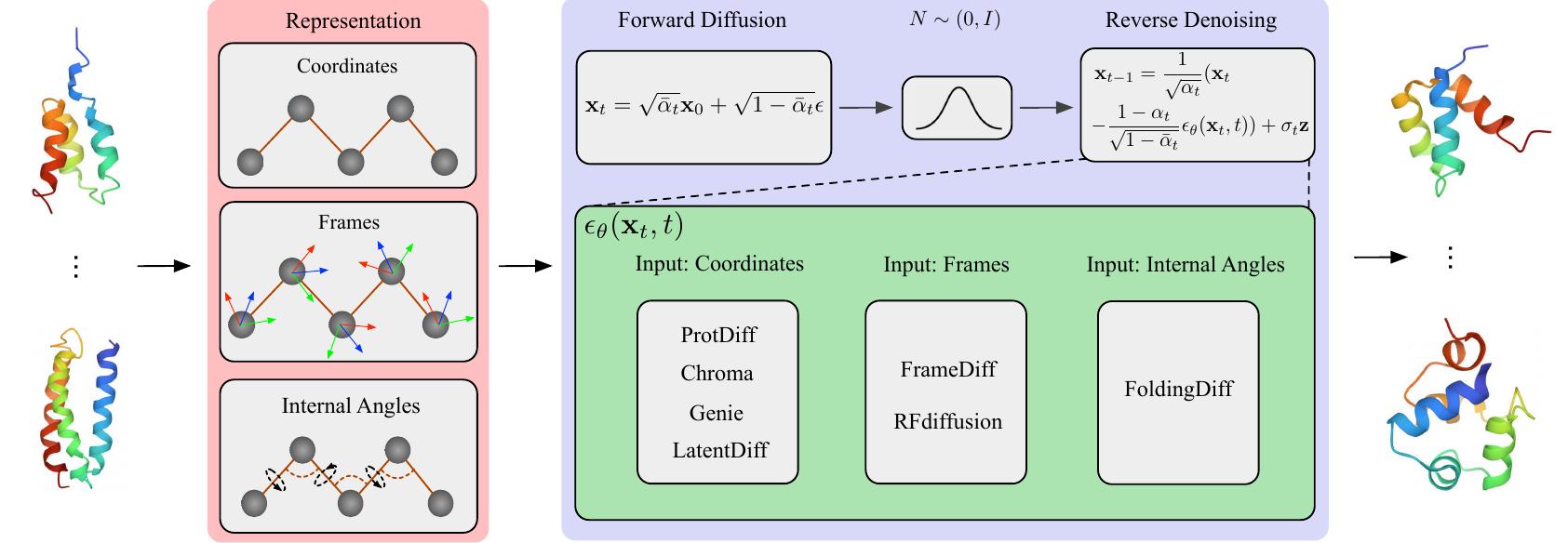 Pipeline of protein generation with diffusion models. the