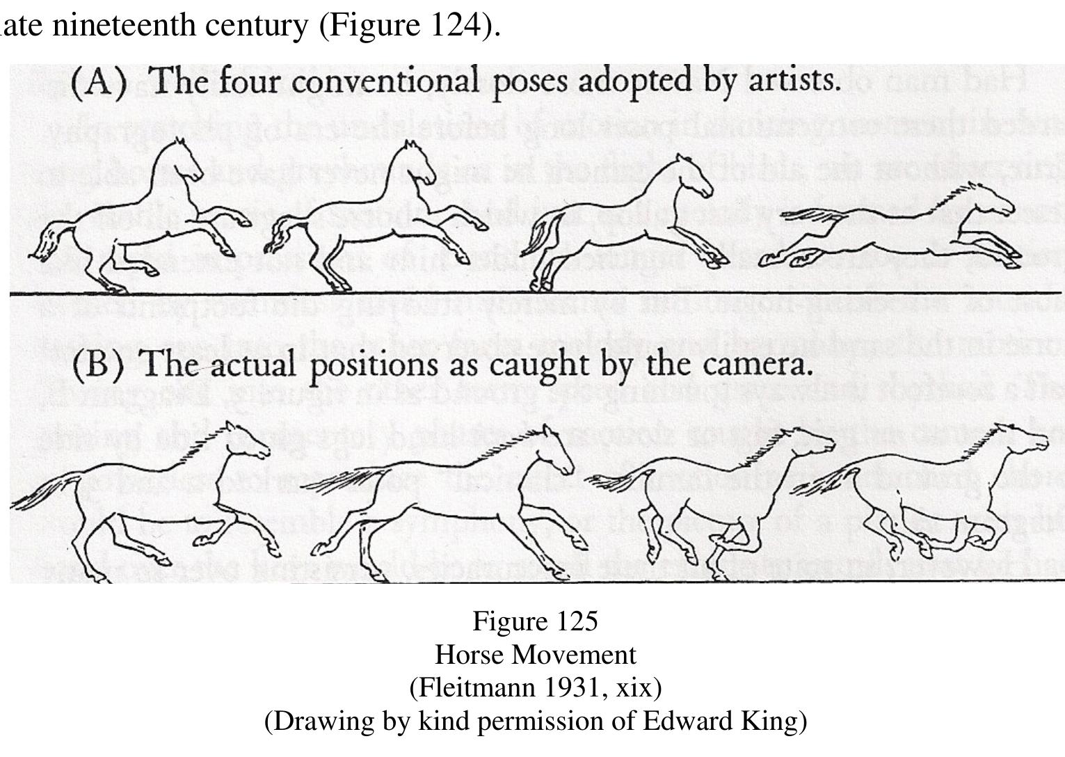 Third and fourth horses, the gallop. the positions of al and