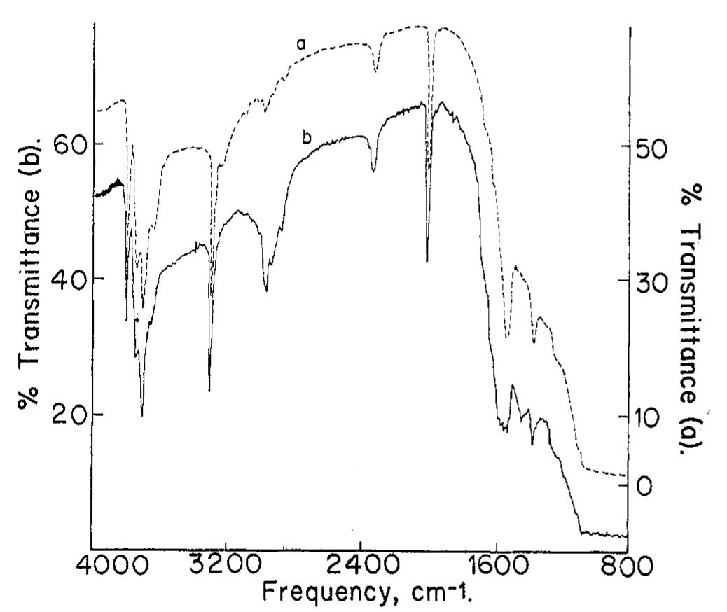 Infrared spectra of acetylene chemisorbed on y-alumina