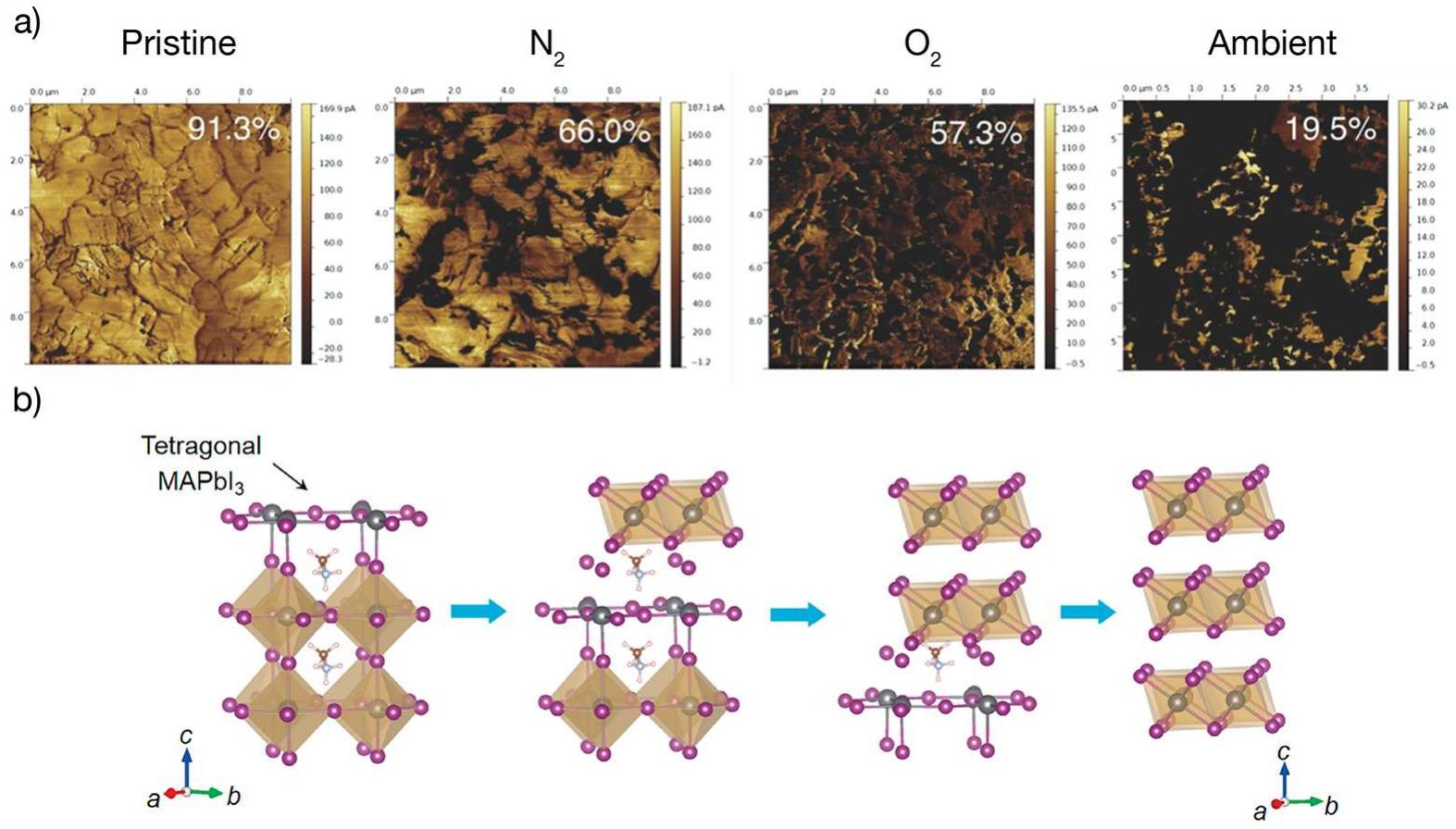 (a) conductive atomic force microscopy (c-afm) images of