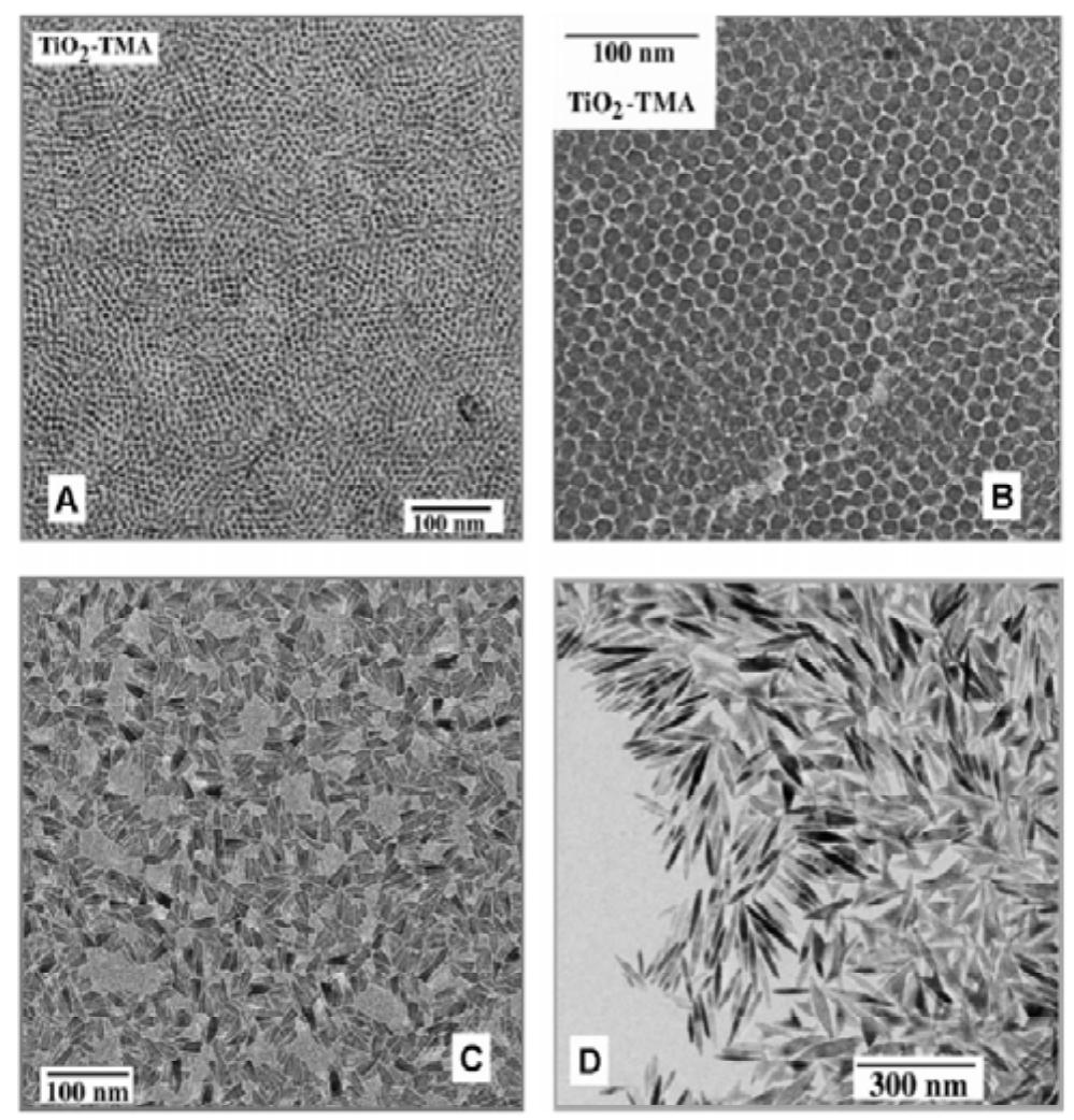 Nanoparticles prepared by sol-gel method.