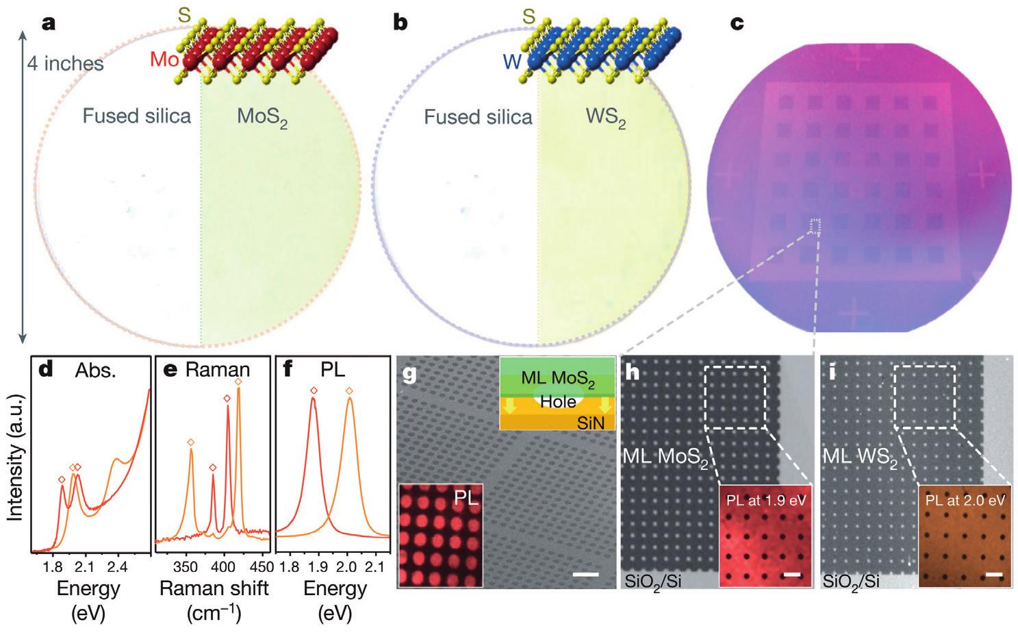 Single-layer transition metal dichalcogenides (tmd) films on